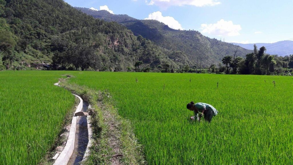 Technical Assistance to Implement Small Irrigation Program-Phase II ...