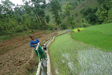 Program Management and Implementation Consultant (PMISC), Small ...