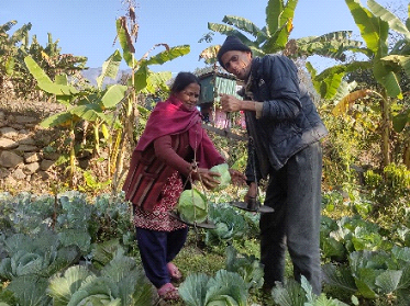 Program Management and Implementation Consultant (PMISC), Technical ...