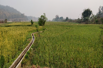 Program Management and Implementation Consultant (PMISC), Technical ...